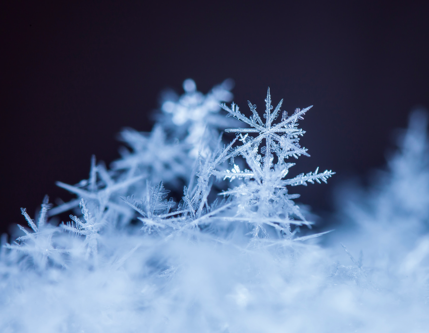 Snowflakes Are Unique – Of Faith & Fortitude